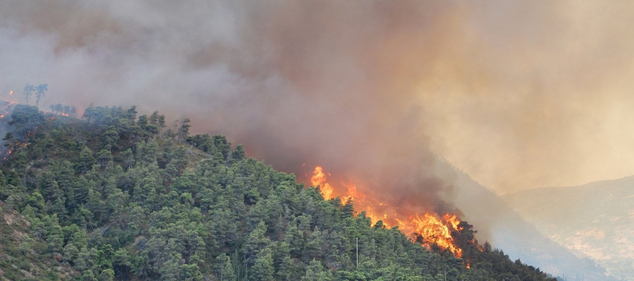 Gedupeerde toeristen Rhodos mogen gratis een week terugkomen - Travelpro