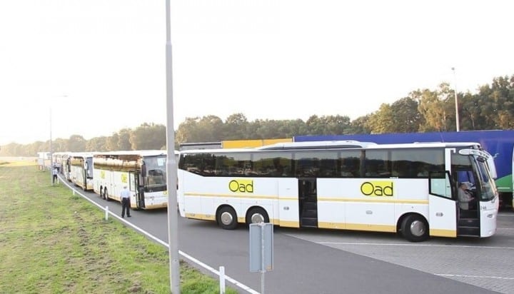 Busvloot Oad laat SAIL geel kleuren - Travelpro