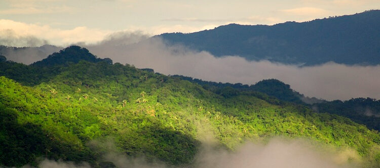 Nederlanders steeds vaker op reis naar Costa Rica - Travelpro