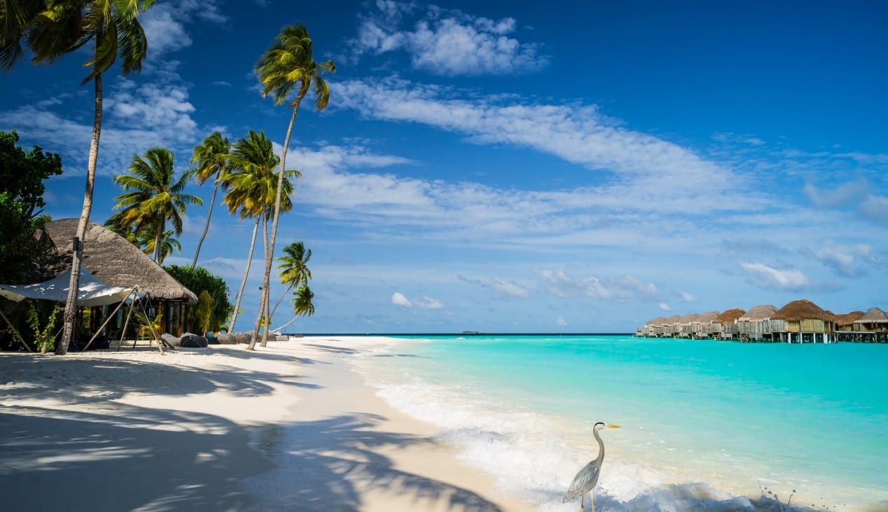 Norbert Good naar FOX Reizen - Travelpro